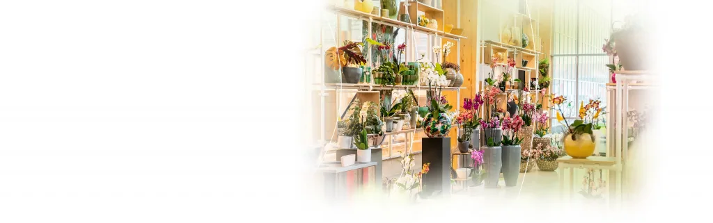 Orchid Store - Ter Laak